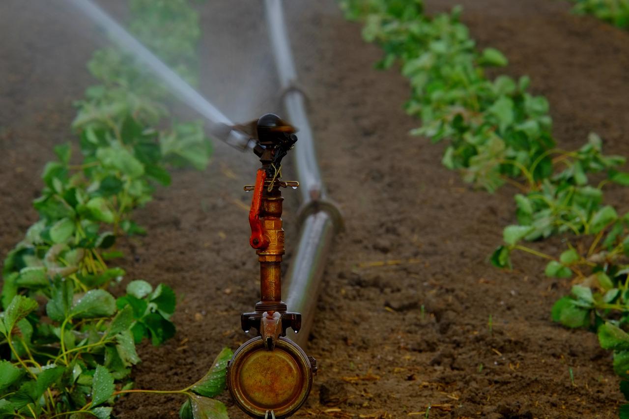 Irrigation Water Quality: Importance, Properties & Testing Irrigation Water Quality: Importance, Properties & Testing
